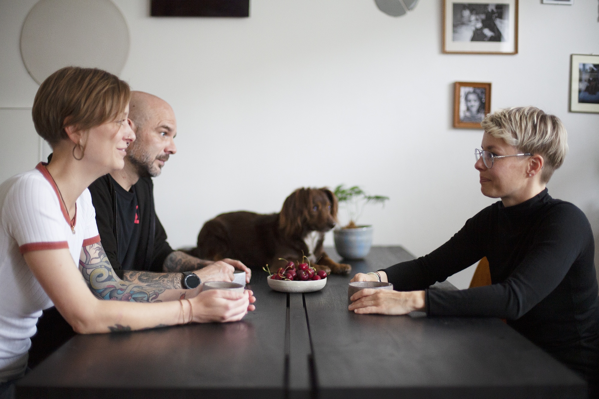 Hundeschule in Kassel - Hunde Coaching - Hunde-Menschen-Dialoge